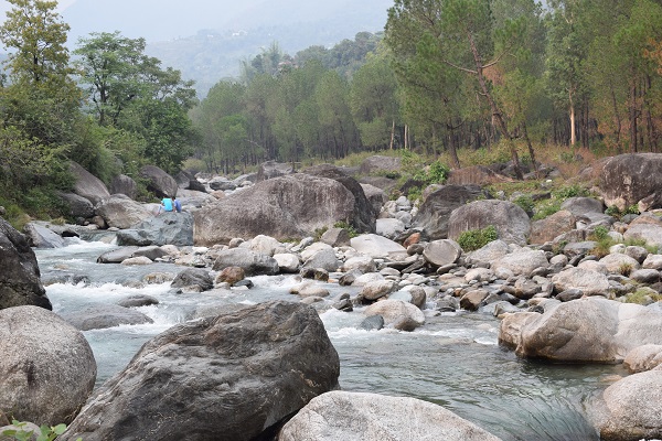 The Plateau called Palampur - tourismindiaonline.com