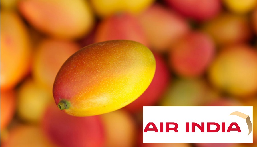 Air India's Sweet Success: Delivering 1,000 Tonnes of Indian Mangoes ...